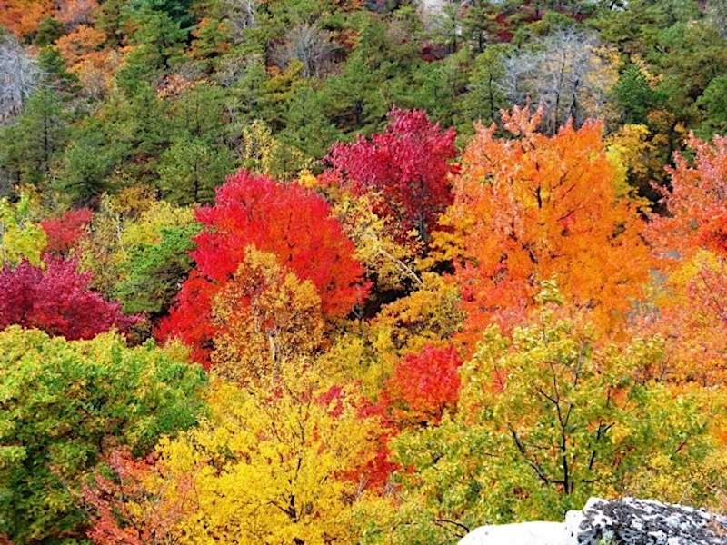 Nanomonestotse | Rich Coffey Music